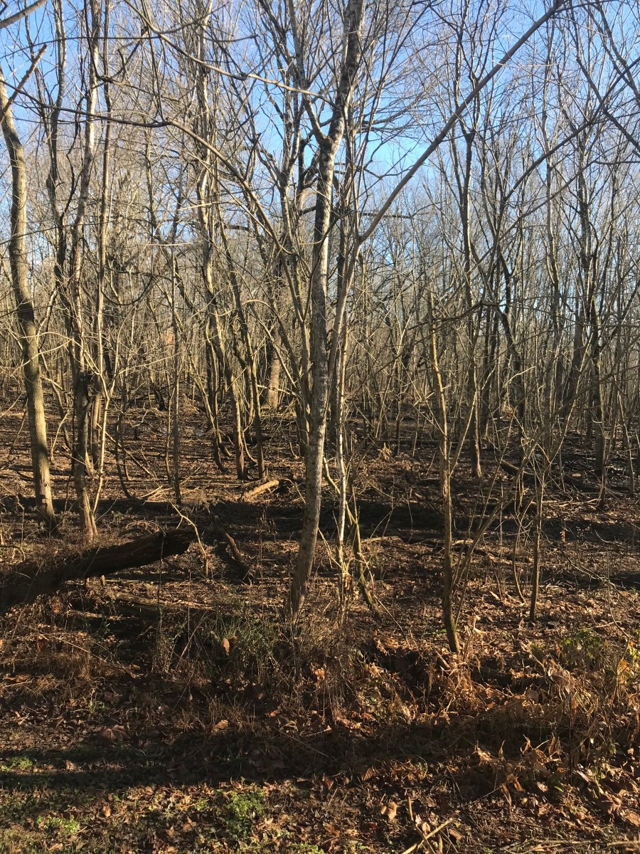 7 ways to bounce back from disappointment – Kimberly L. Wright